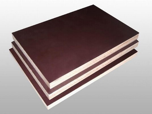 Brand new 1250X2500mm construction wood concrete formwork plywood for Belgium