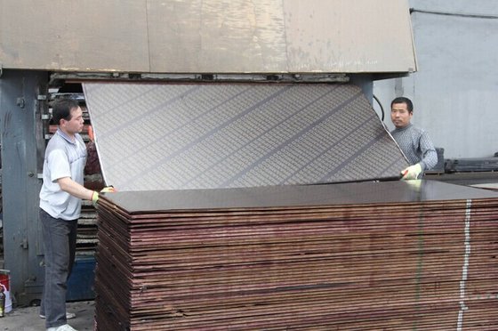 15mm Black or Brown Waterproof Marine Plywood for Construction