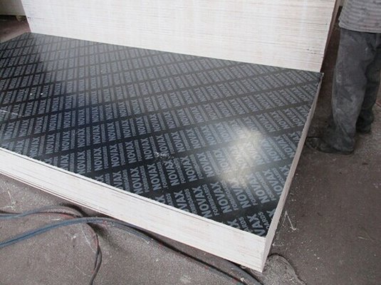15mm Black or Brown Waterproof Marine Plywood for Construction