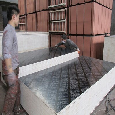 15mm Black or Brown Waterproof Marine Plywood for Construction