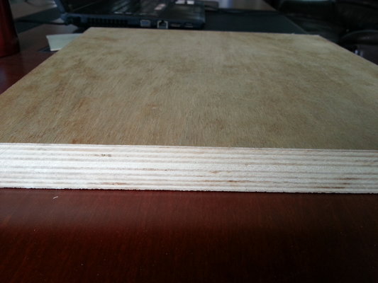 Supply 5mm Environmental BB/CC Grade Birch Plywood