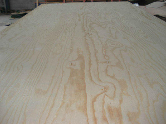 Supply 13mm 4X8 High-Quality Green Pine Wood Veneer Plywood (used as highchairs)