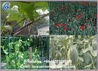 100% new virgin HDPE Green 8gsm 10X10cm plant support net with UV
