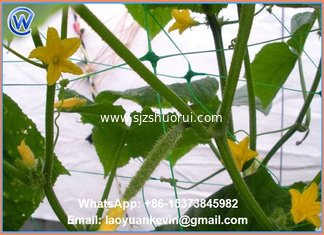 Hot Selling Hdpe With Uv 15x15cm Mesh Green Plant Support Net Plant Climbing Net