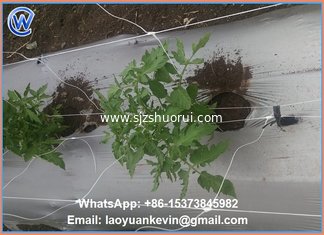 100% new virgin material plastic bop trellis netting/plant support netting with uv supplier / BOP Stretched Net