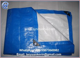 Hot Selling 260gsm PE Tarpaulin Tarps Waterproof Cover in rain
