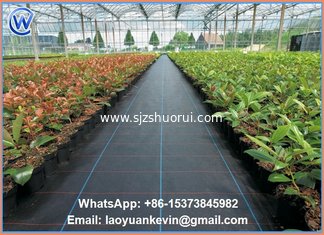 Ground Cover Nets 3'x750' Weed Control Landscape Fabric
