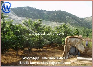 Bird Net-Garden Netting Protection Plant Seedlings
