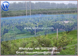 2m x 5m ANTI BIRD NETTING - THE VERY BEST QUALITY- FRUIT PROTECTION NET