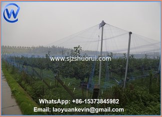 BEST SELLING Anti Bird Netting Pond Garden Debris protection