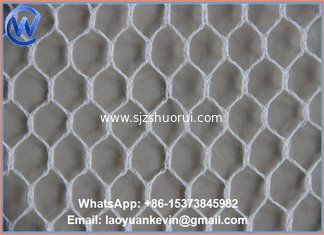 1 X GARDEN NETTING ANTI BIRD VEG FRUIT PLANT POND NET PROTECTION WATER 2 X 10M