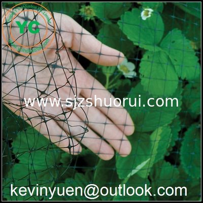 Protect Fruit Plant Garden Bird Net yard orchard blue black