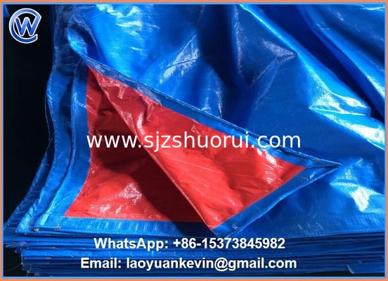 Hot Selling Ractical waterproof protective pe tarpaulin From China