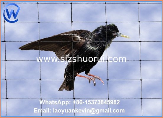 POULTRY NETTING GAME BIRD NET AVIARY NETS