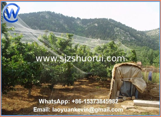 Bird Net-Garden Netting Protection Plant Seedlings