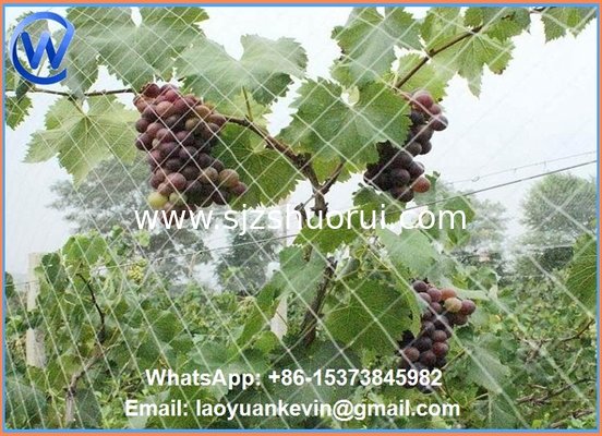HDPE Protect Fruit Plant Garden Bird control Netting-Green
