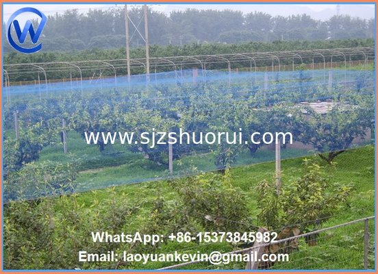 2m x 5m ANTI BIRD NETTING - THE VERY BEST QUALITY- FRUIT PROTECTION NET