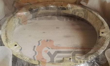 TEREX 1000 SEAL RING 603/9006  | TEREX CRUHER PARTS | YECOPARTS LTD supplier