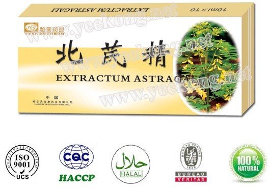 Pure herbal Extractum Astragali astragalus extract