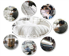 Bed Sheet Set Bedding sheet 3pc 3pcs 4pcs Quilt Cover Pillow Cases Home Textile Hotel Hospital use 100% Cotton Soft