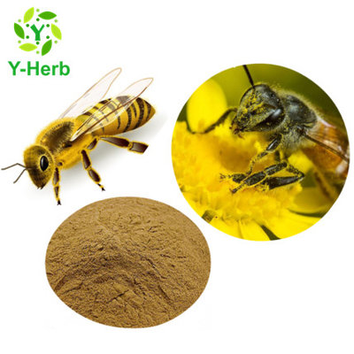 China Water Soluble Propolis 70% Flavones 10% Powder Honey Bee Propolis Extract supplier