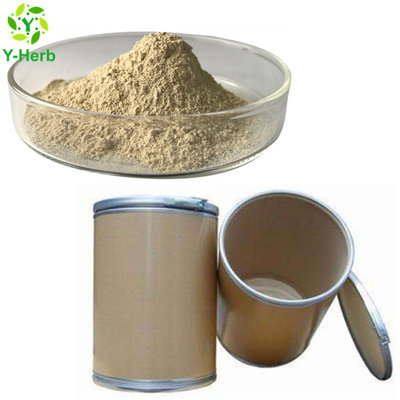 China 16% 18% Pure Natural Schizochytrium Algae Extract DHA Powder supplier