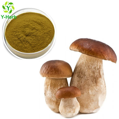 China 10%-50% Natural Boletus Extract Porcini Powder supplier