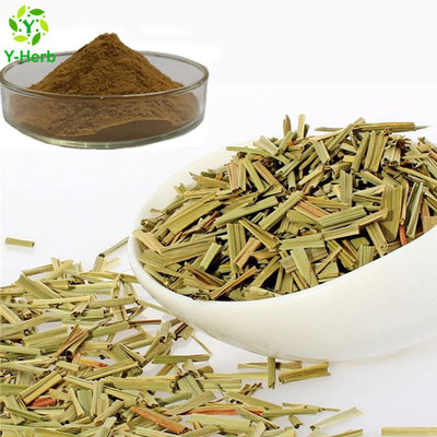 China 100% pure natural 10:1, 50:1, 100:1Citronella Grass Extract Powder supplier