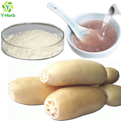 China Food Grade extract pure natural Lotus Root Powder supplier