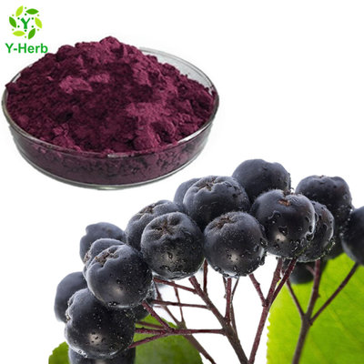 China 100% Natural Aronia Melanocarpa Extract Powder, HPLC30% anthocyanin,Aronia Chokeberry Extract supplier
