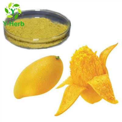 China Pure Natural Mango Leaf Extract 10%-98% Mangiferin Powder supplier