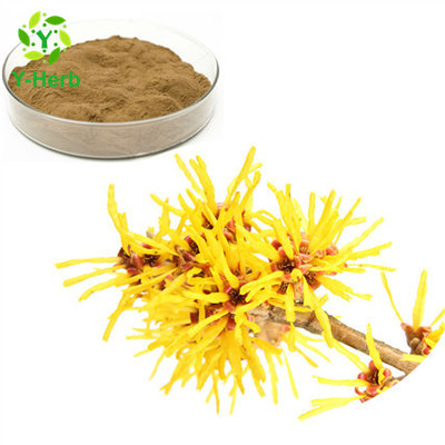 China Supply Popular Skin Care Natural Pure Powder Witch Hazel Extract supplier