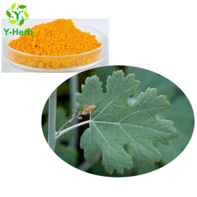 China 10% 20% 40% 60% HPLC Alkaloids Macleaya Cordata Extract Sanguinarine supplier