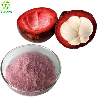 China 100% pure organic concentrate mangosteen fruit powder/mangosteen juice powder supplier