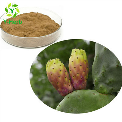 China loss weight ingredients 10:1 50:1 100:1bulk opuntia ficus-indica extract supplier