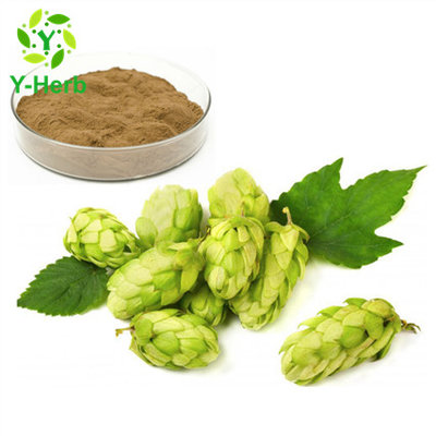 China 101 10% 20% 30% Flavones Powder Hops  Buds Beer Hops Extract supplier