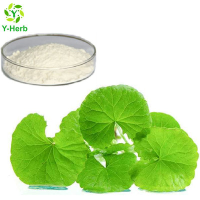 China 10%-90% HPLC Asiaticoside 20% Centella Asiatica Extract , Madecassoside Gotu Kola Extract supplier