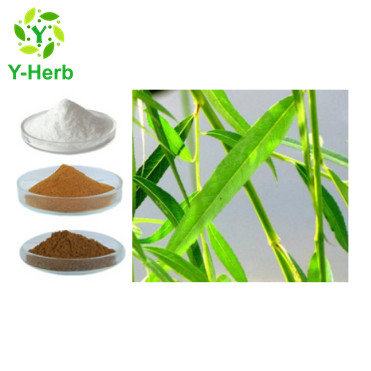 China Salix Alba Bark extract 10% 50% 98% salicin powder white willow bark extract supplier
