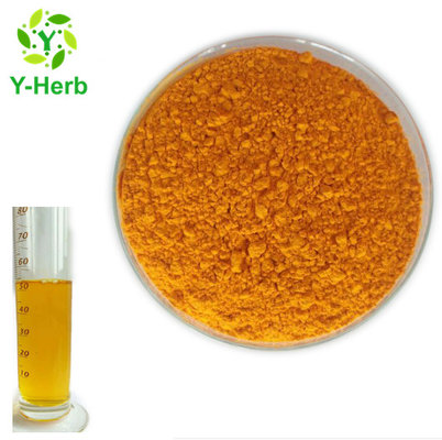 China Nano Curcumin Extract Raw Material Bulk Water Soluble Curcumin Powder 10% 20% supplier