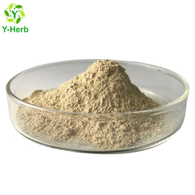 Selenium Enriched Yeast Powder supplier