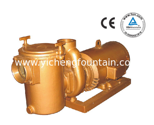 CP Series Brass Centrifugal Swimming Pool Pump supplier