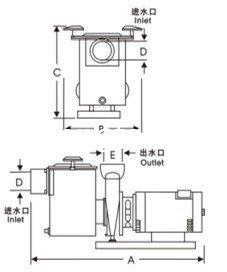 CP Series Brass Centrifugal Swimming Pool Pump supplier