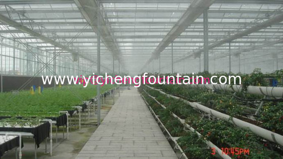 Fully Setting Pool Fog System For Plants Shed To Cooling Down the Temperature Including Nozzle Machine And Piping Work supplier