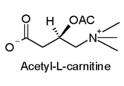 Acetyl L-Carnitine