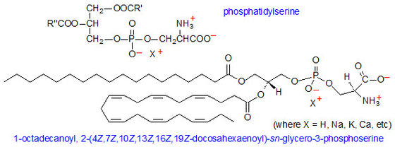 Phosphatidylserine