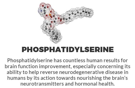 Phosphatidylserine
