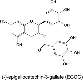 EGCG 50% Green Tea Extract
