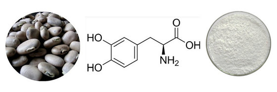 Mucuna L-Dopa 98%