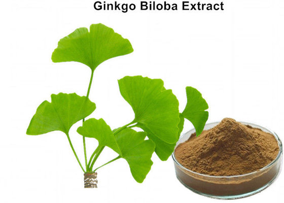 Ginkgo Biloba extract