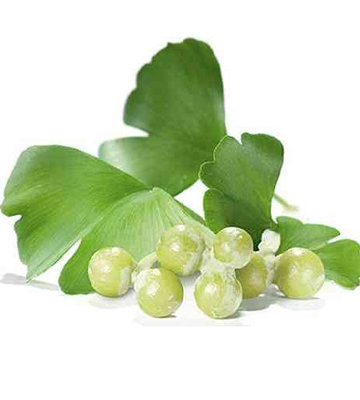 Ginkgo Biloba extract